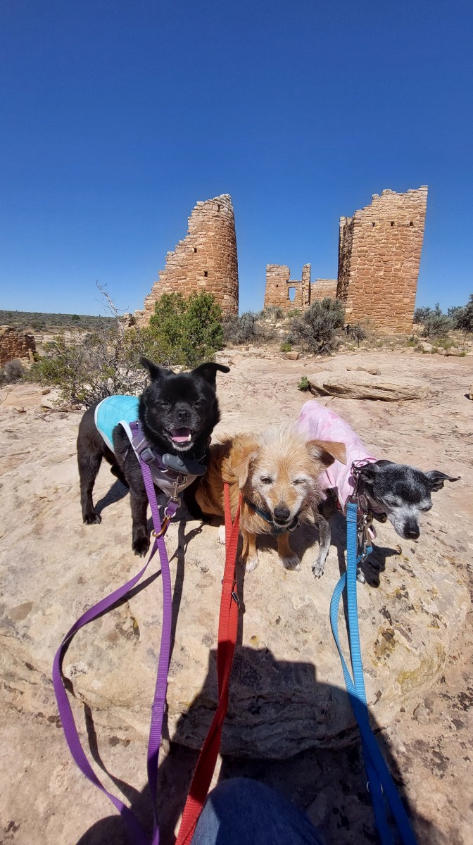 Stunning, Dog-friendly Ancient Castles and Sizzling Summer Temperatures ...